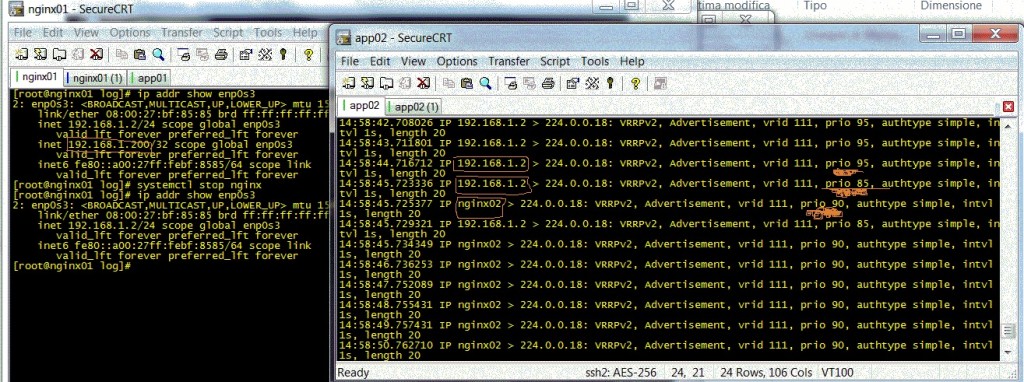 Nginx haproxy and keepalived – Network Security Protocols